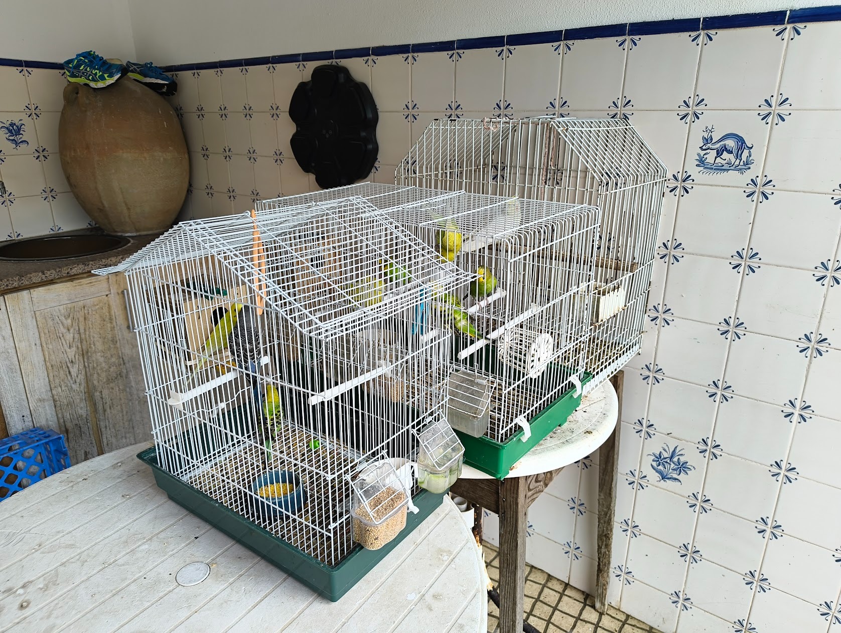 CMF Phone 2 Pro Review: ¡el Rey De Los Teléfonos Celulares Baratos!