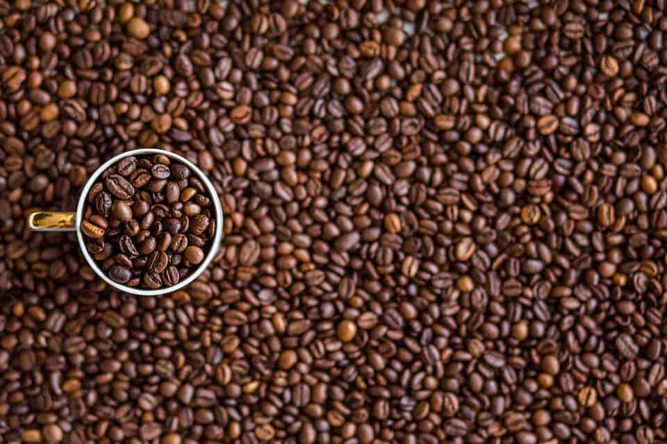 El Café Más Caro Proviene De La Caca De Un Animal, Pero ¿es Realmente ...